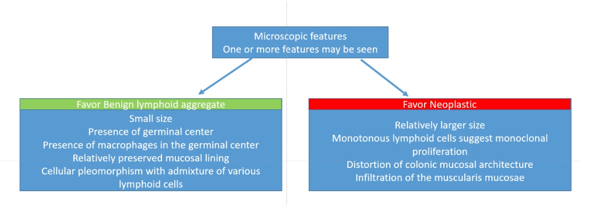 Pathology Outlines - Lymphoid polyp