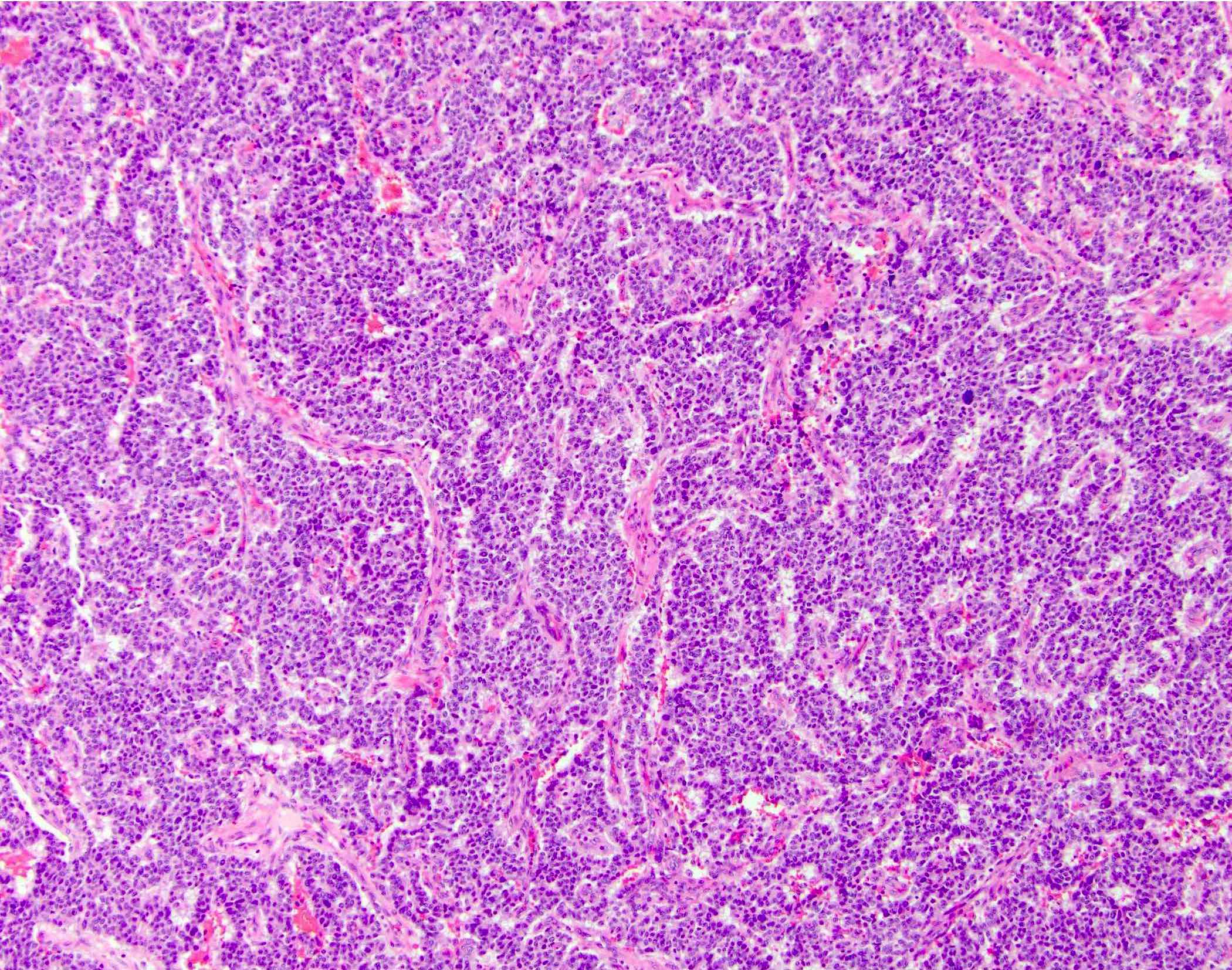 You are being redirected...