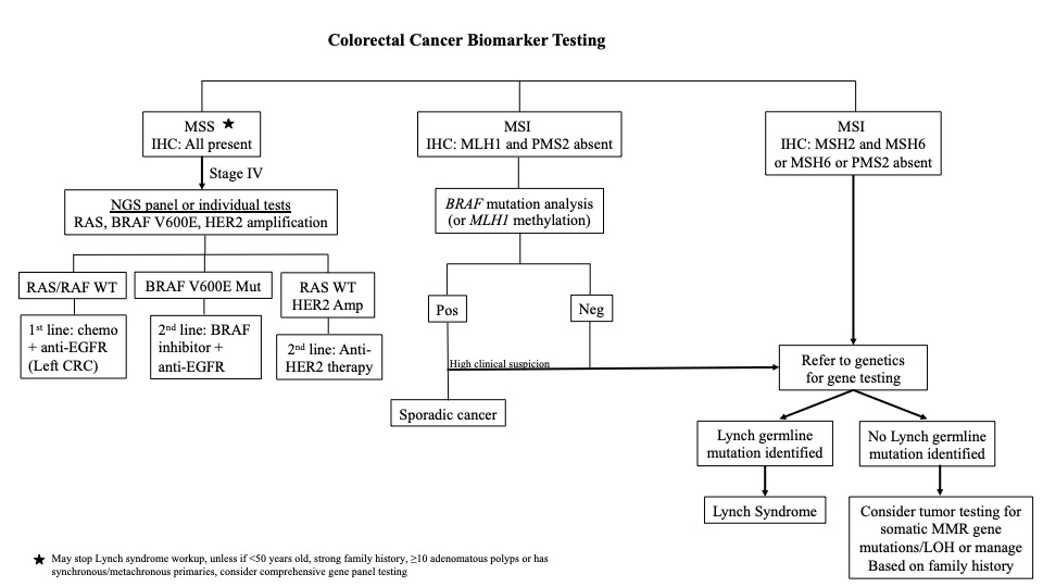 Pathology Outlines - Colon cancer biomarker testing (including MSI / Lynch)